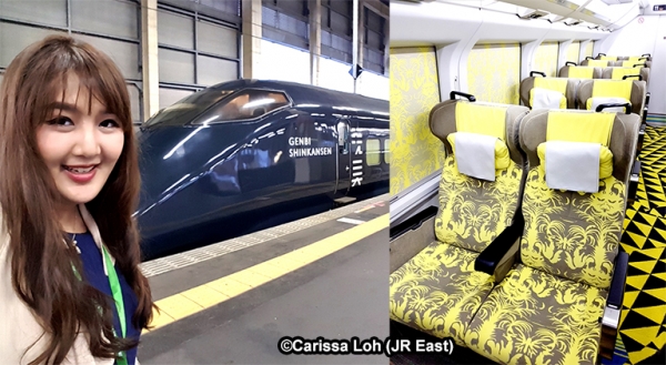 The World's Fastest Art Gallery: GENBI SHINKANSEN | JAPAN RAIL CLUB