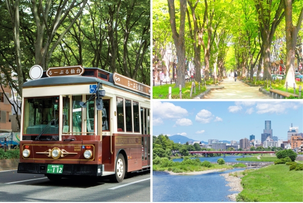 Unlock Sendai With Our Guide To Must-See Places! | JAPAN RAIL CLUB