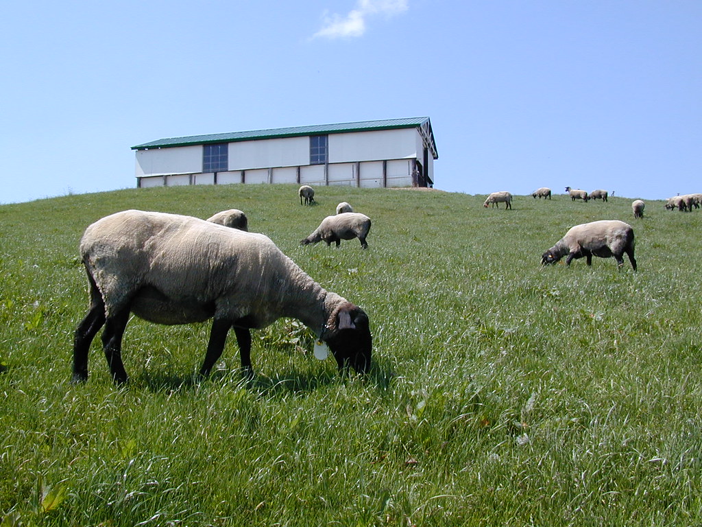 5 Lesser-Known Places in Hokkaido That You Should Visit | JAPAN RAIL CLUB